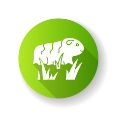 Animals Shadow Vector Images (over 35,000)