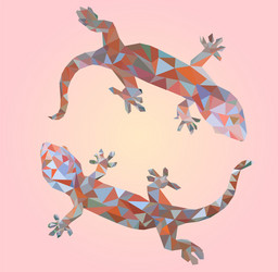Isolated low poly colorful gecko with white back Vector Image