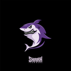 Shark logo design sharks for a club Royalty Free Vector