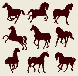 Horse Leg Vector Images (over 1,300)