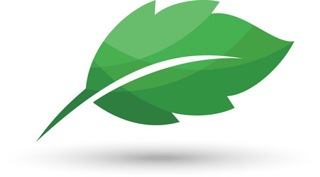 Green leaf isolated white background Royalty Free Vector