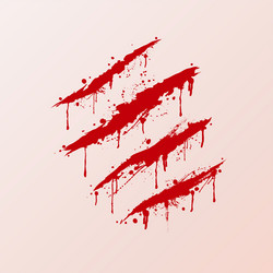 Dog Paw Transparent Background Vector Images (over 750)