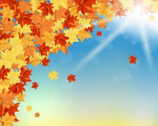 Fall Royalty Free Vector Image - VectorStock