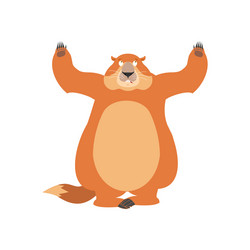 Groundhog confused emoji oops woodchuck perplexed Vector Image