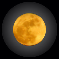 Realistic full moon Royalty Free Vector Image - VectorStock