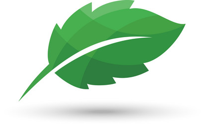 Green leaf isolated white background Royalty Free Vector