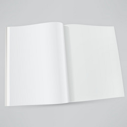 Double Page Magazine Spread Vector Images (18)