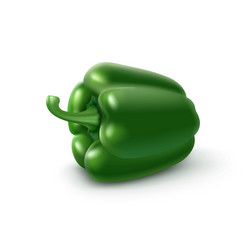 Green Bell Pepper - Whole and Half Royalty Free Vector Image