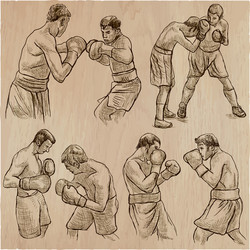 Box boxing sport collection of boxing positions Vector Image