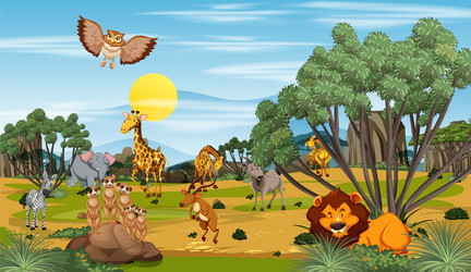 Various animals in forest Royalty Free Vector Image