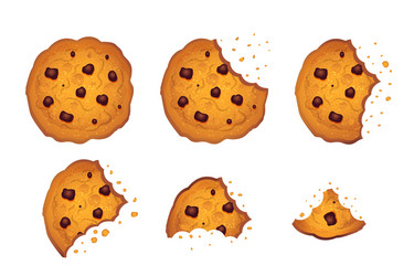 Bitten chocolate chip cookie crunch homemade Vector Image