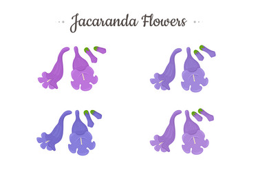 Jacaranda Tree Vector Images (over 110)