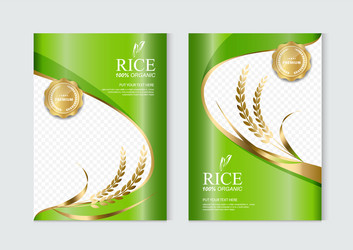 Rice food or thai banner and poster template Vector Image