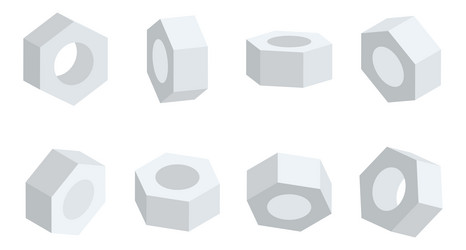Realistic nut in various angles nuts top view Vector Image