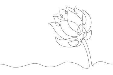 Flower bud a beautiful open flower Royalty Free Vector Image