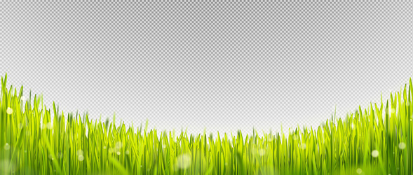 Sun Border Vector Images (over 12,000)