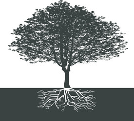 Plant Roots Vector Images (over 43,000)
