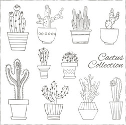 Set cacti doodle hand drawn Royalty Free Vector Image