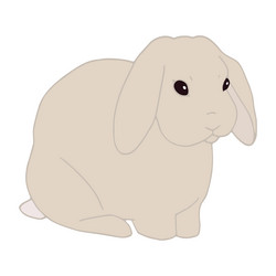 Hand drawn art of a sitting rabbit cute simple Vector Image