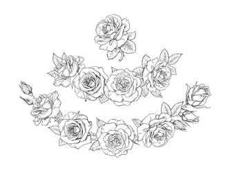 Hand drawn flower garland with roses rose buds Vector Image