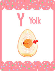 Y Flashcards Vector Images (over 130)