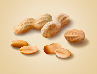 Peanuts in Shell Vector Images (over 2,400)