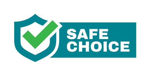 Safe choice icon isolated on white background Vector Image