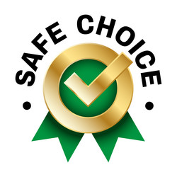 Safe choice icon isolated on white background Vector Image