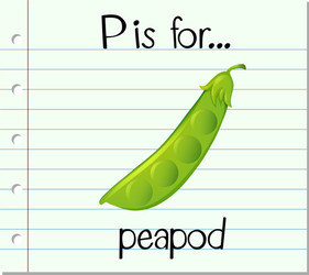 Letter P Flashcards Vector Images (over 440)