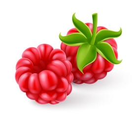 Raspberry Royalty Free Vector Image - VectorStock