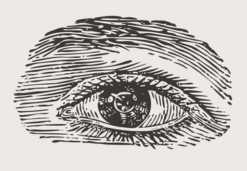 Gothic Eye Drawings