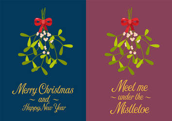 Pretty mistletoe branch Royalty Free Vector Image
