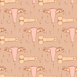 Sketch reproductive system Royalty Free Vector Image