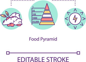 Food nutrition groups pyramid Royalty Free Vector Image