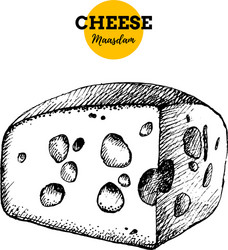 Emmental cheese drawing hand drawn food sketch Vector Image