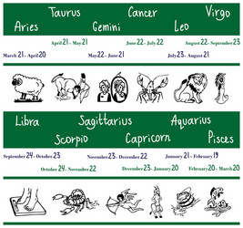 Ox Constellation Vector Images (over 440)