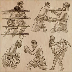 Box boxing sport collection of boxing positions Vector Image