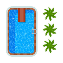 Swimming pool top view Royalty Free Vector Image