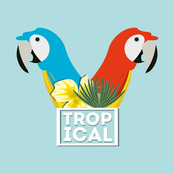 Guacamaya Vector Images (24)