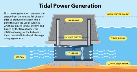 Tidal electricity concept for science education Vector Image