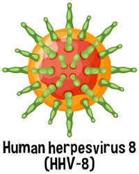 Human herpesvirus 8 hhv 8 Royalty Free Vector Image