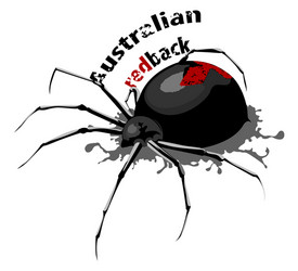 Redback Spider Vector Images (55)