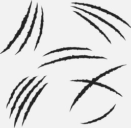 Animal scratches icon set Royalty Free Vector Image