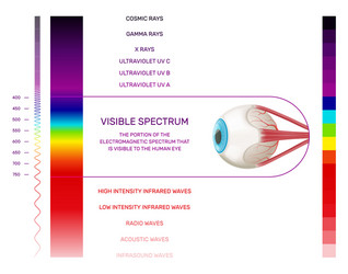 Visible spectrum color electromagnetic Royalty Free Vector