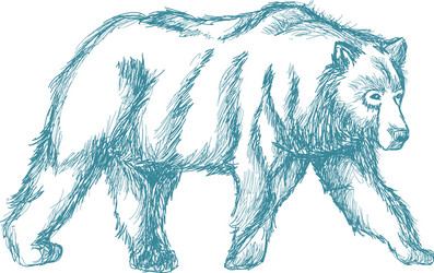 Animal wild bear landscape hand-drawing Royalty Free Vector