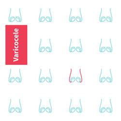 Male Reproductive Testes Diagram Vector Images (over 100)