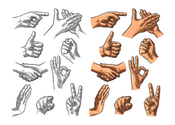 Middle Finger Drawings Drawing Vector Images (over 630)