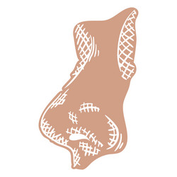 Nose cut out Royalty Free Vector Image - VectorStock