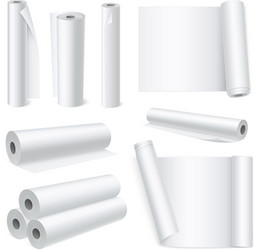 Realistic paper scroll Royalty Free Vector Image