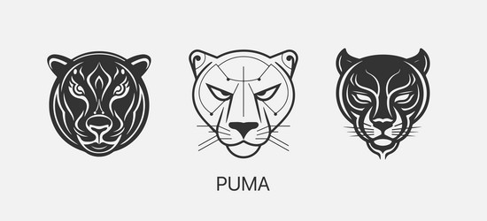 Modern abstract puma or jaguar head logo template Vector Image